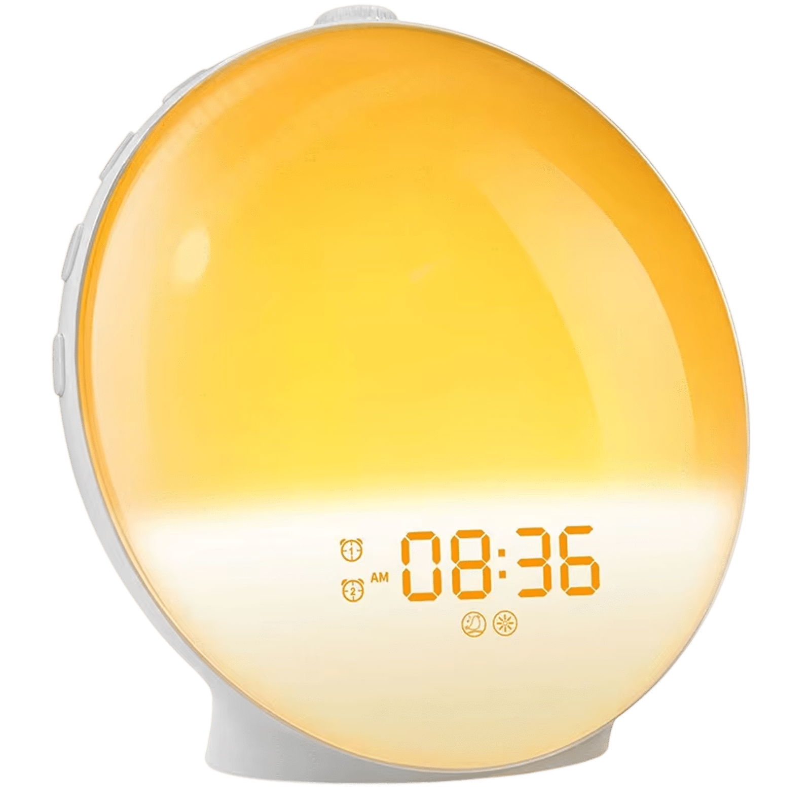 Best 5 Sunrise Alarm Clocks of 2025: Transform Your Morning Routine