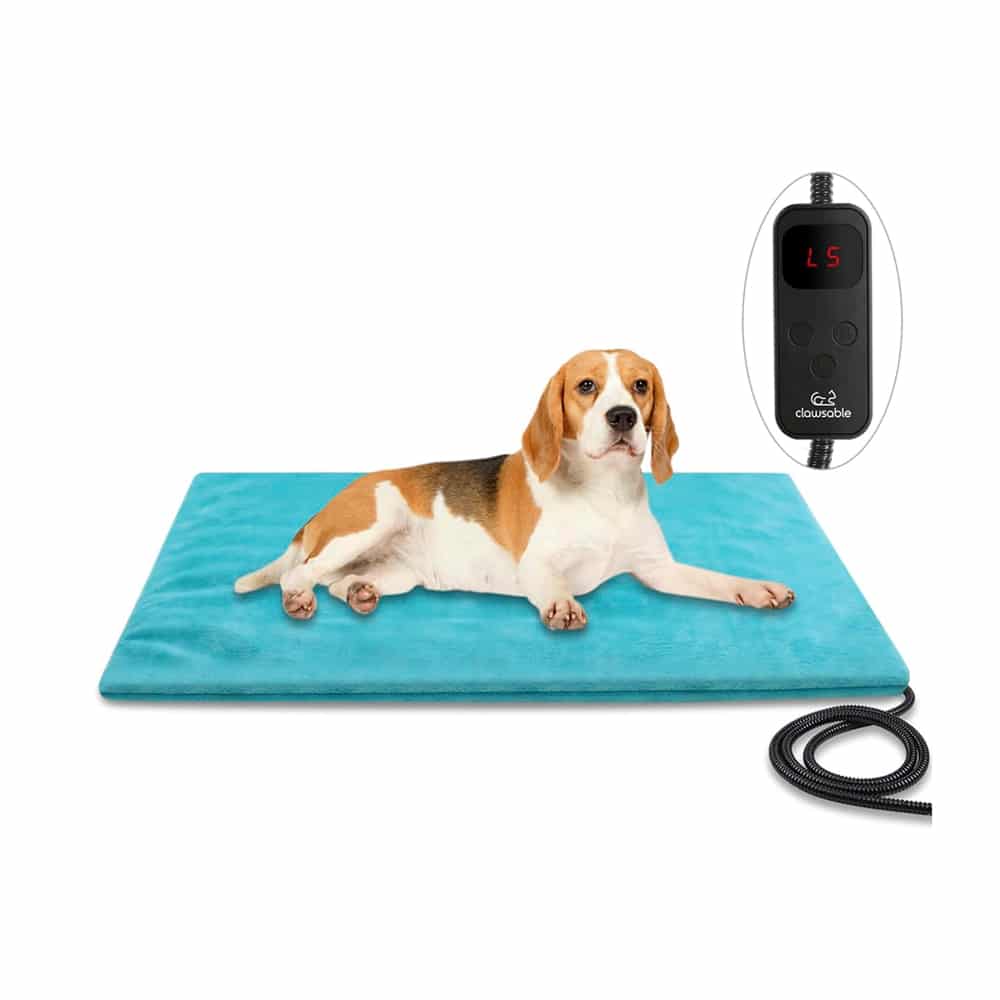 Best 5 Dog Heating Pads of 2025: Ultimate Winter Warmth & Comfort for ...