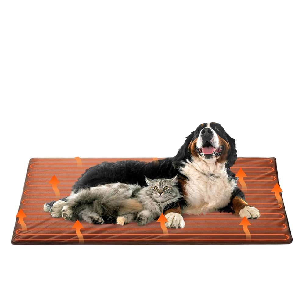 Best 5 Dog Heating Pads of 2025: Ultimate Winter Warmth & Comfort for ...